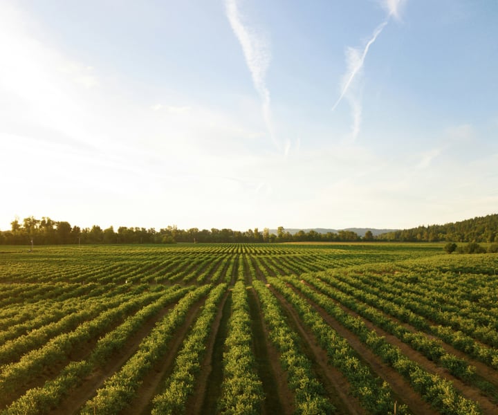 Comprendre les règles d’EIMT par région : Québec, tech, agro et plus