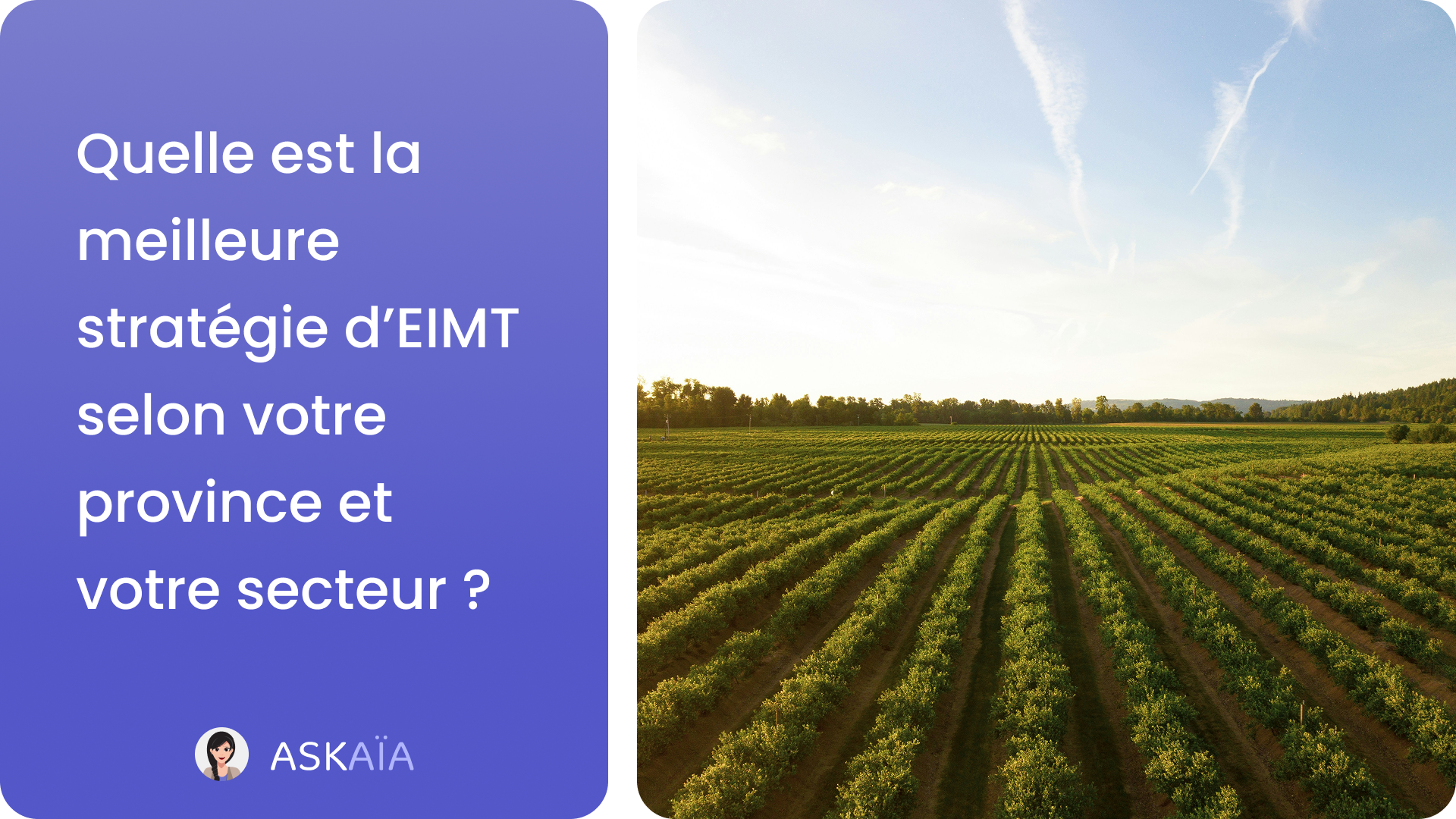 Comprendre les règles d’EIMT par région : Québec, tech, agro et plus